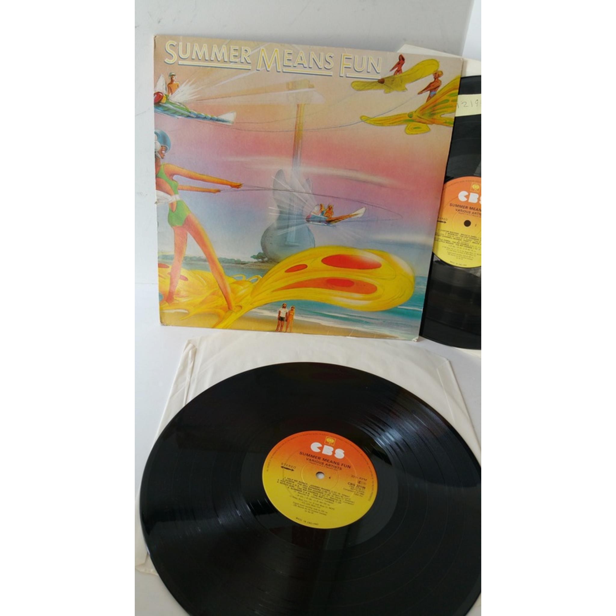 BRUCE & TERRY, THE RIP CHORDS, THE HOT DOGGERS summer means fun, 2 x lp ...