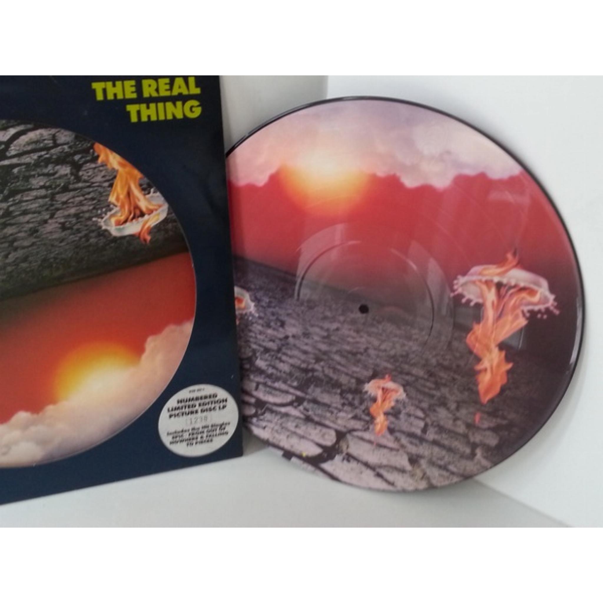 FAITH NO MORE the real thing, die cut sleeve, picture disc, 828 217-1 ...
